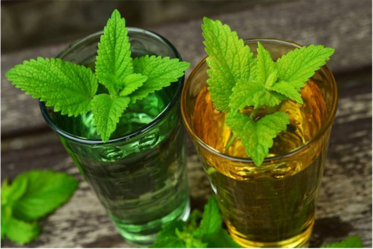 Healthy Refreshments Inside And Outside The Home The Who Blog healthy-refreshments-inside-and-outside-the-home-the-who-blog